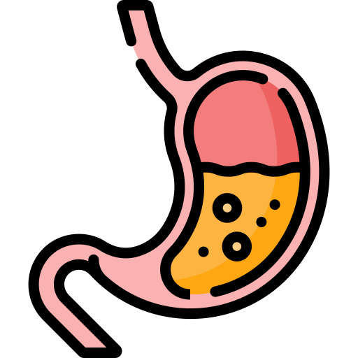 David Chiu | University of Puget Sound Computer Science